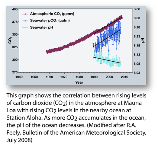 Warmer Proof For Ocean Acidification Is Invalid | Climate Change Sanity